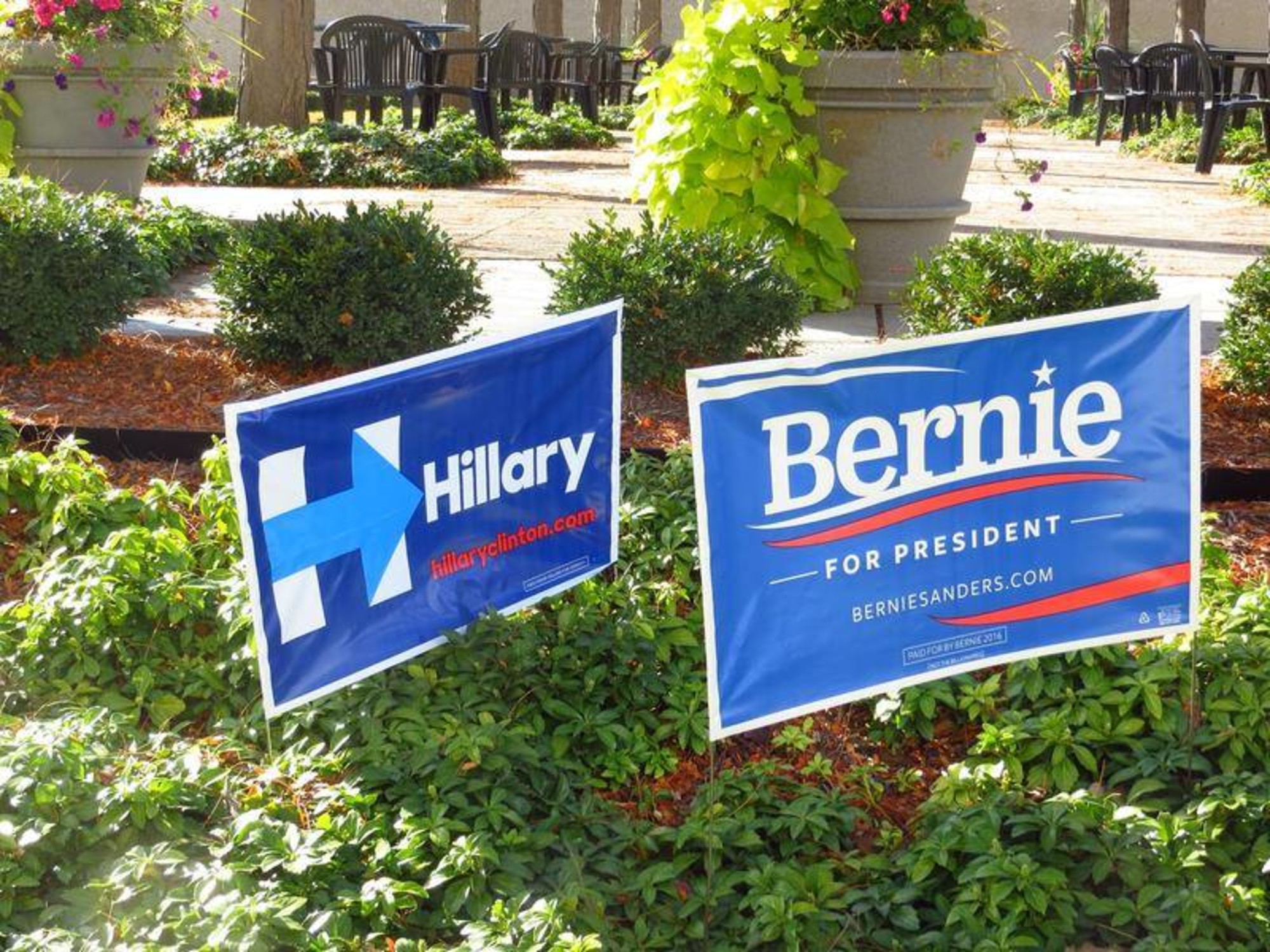 Primary season arrives in New York – Tompkins Weekly