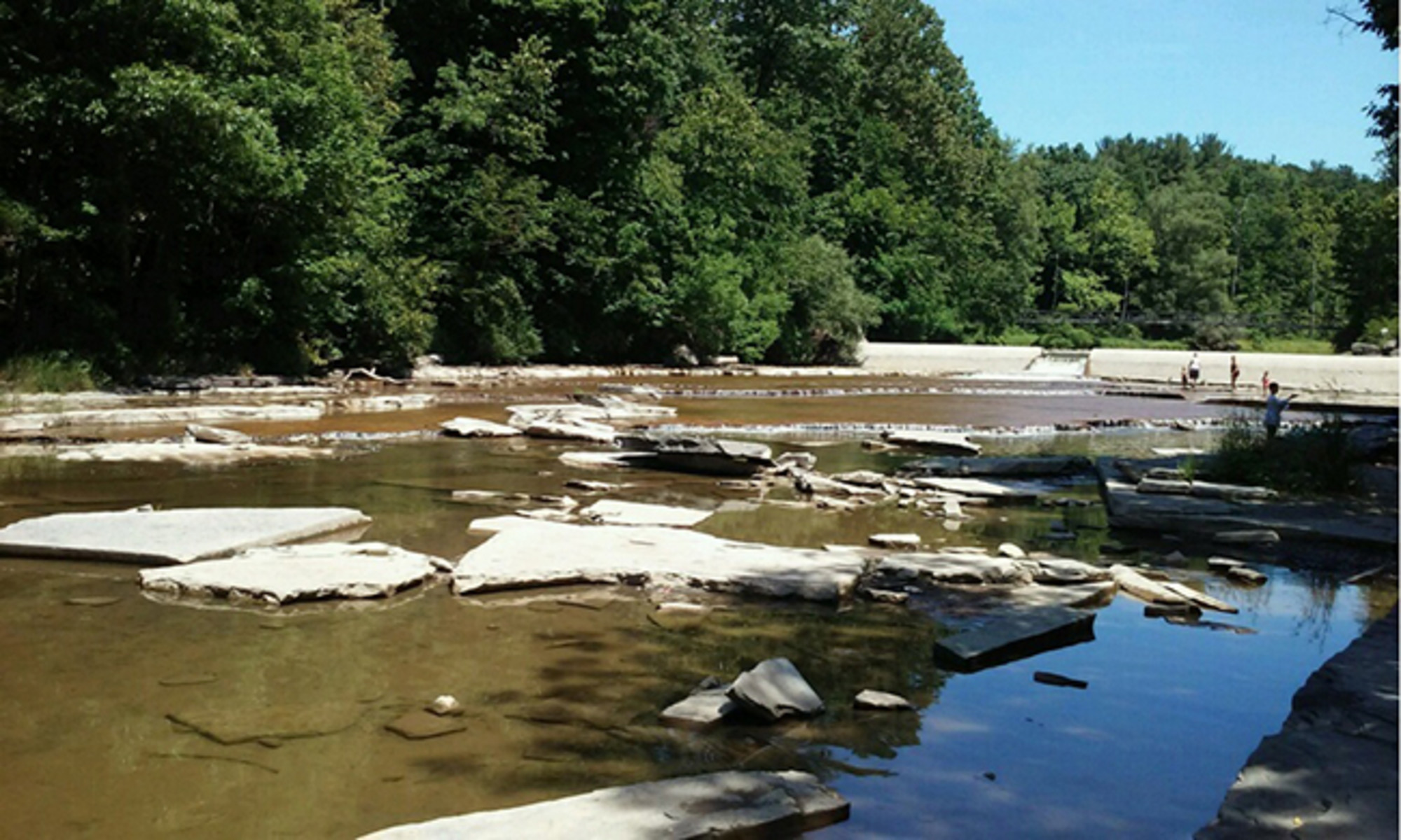 Cornell takes steps to deal with drought – Tompkins Weekly