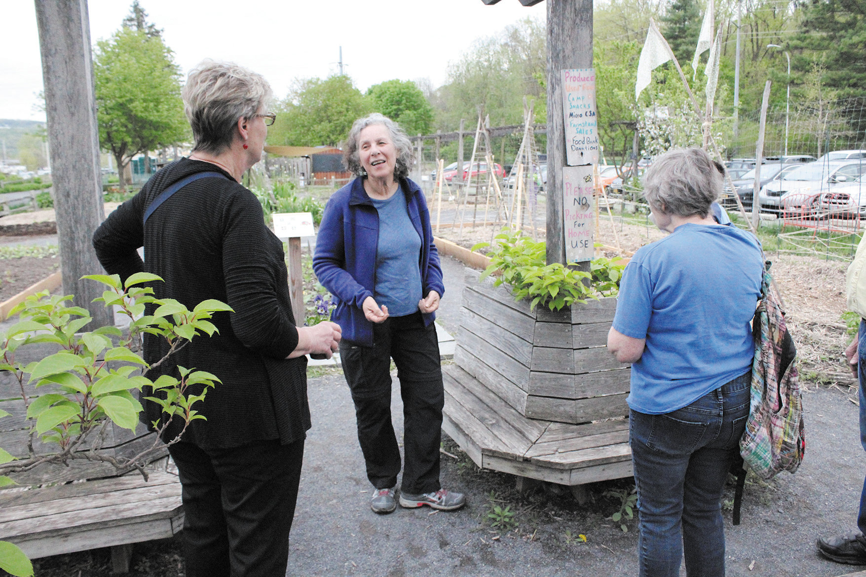 Landscaping do’s and don’ts – Tompkins Weekly