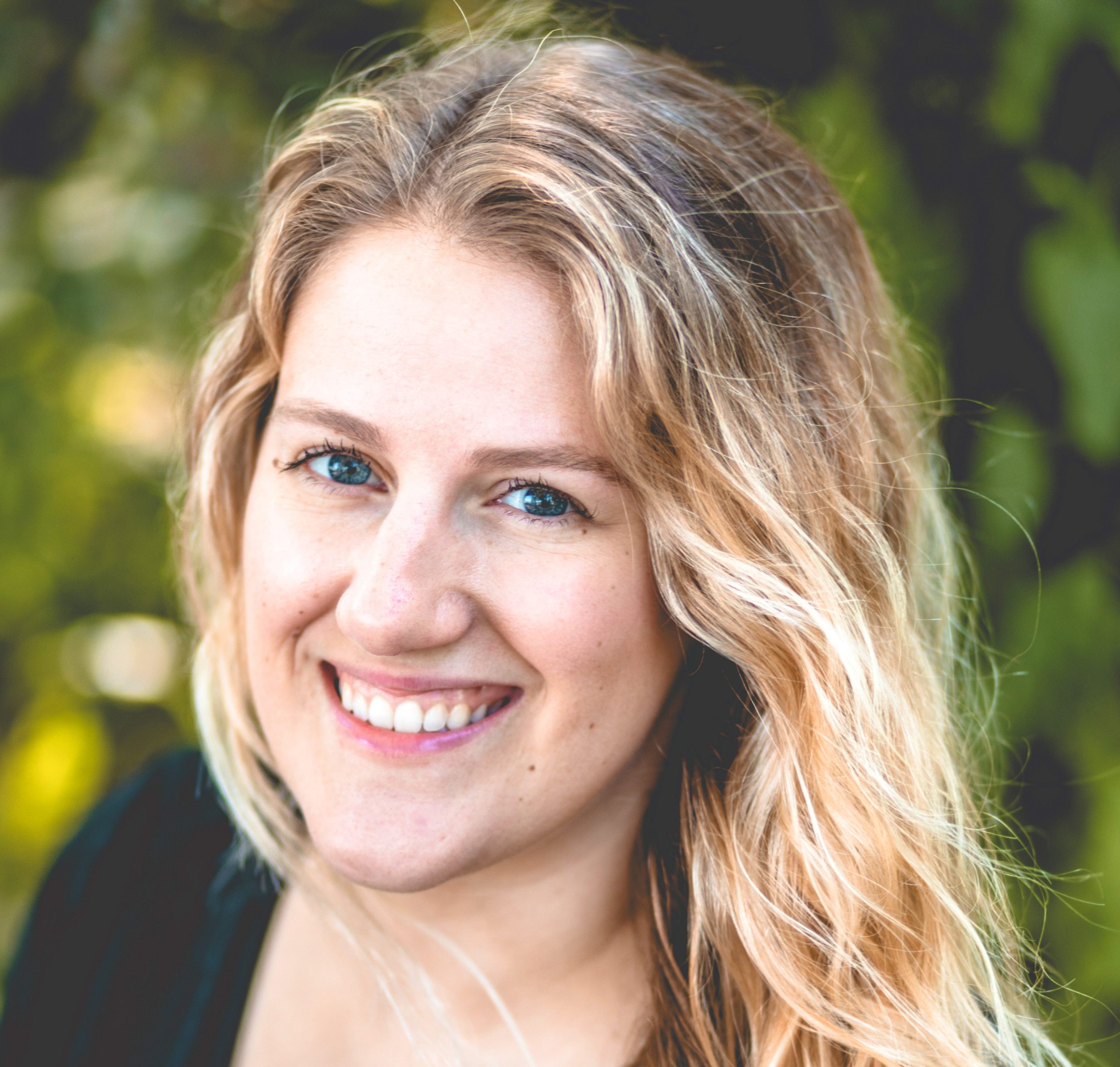 Honeybee Embassy opens at Bright Raven Farm – Tompkins Weekly