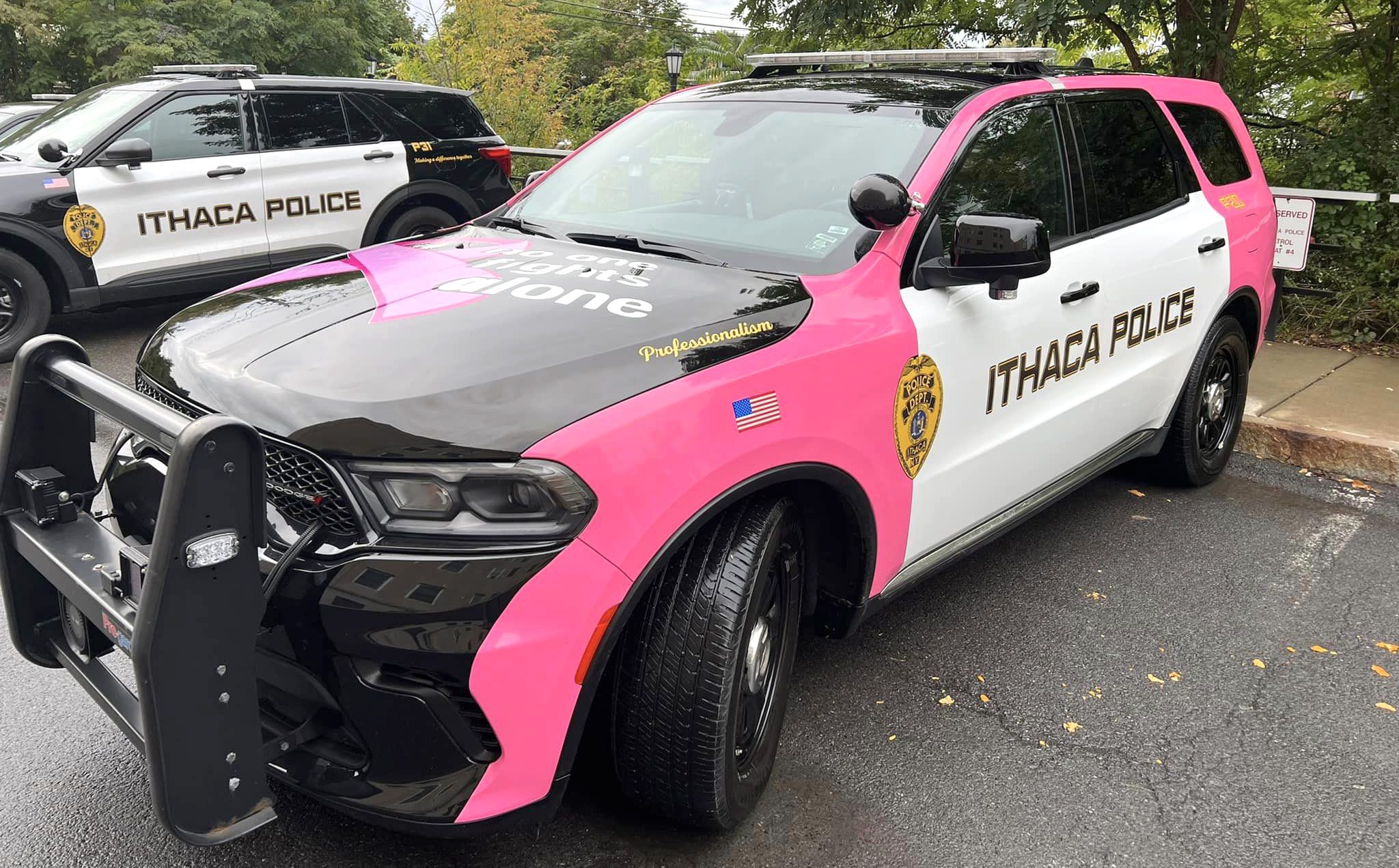 Brief: Benevolent Association, IPD support breast cancer fight ...