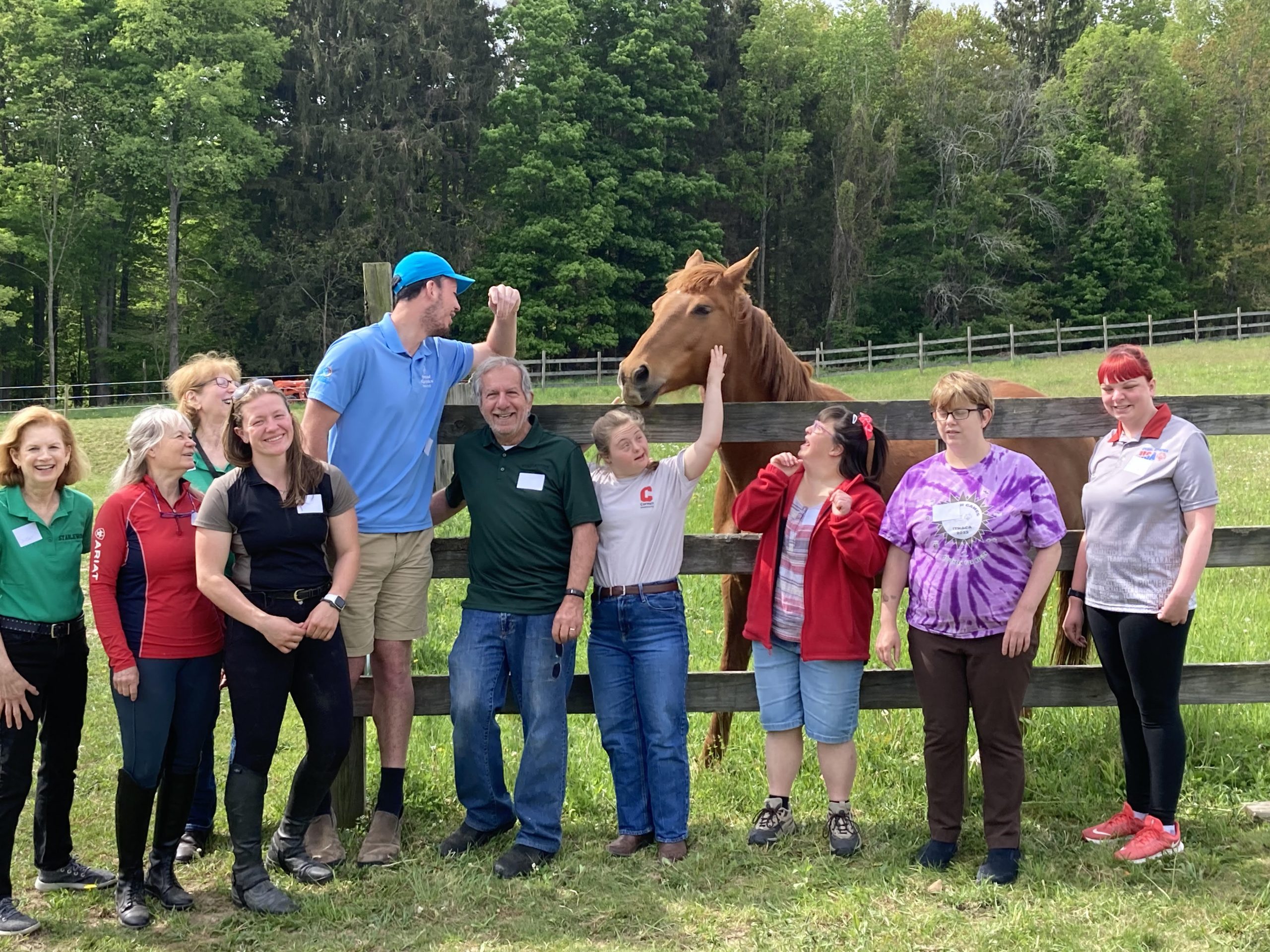 Stablework to host training for rebirth of Special Olympics’ Equestrian ...