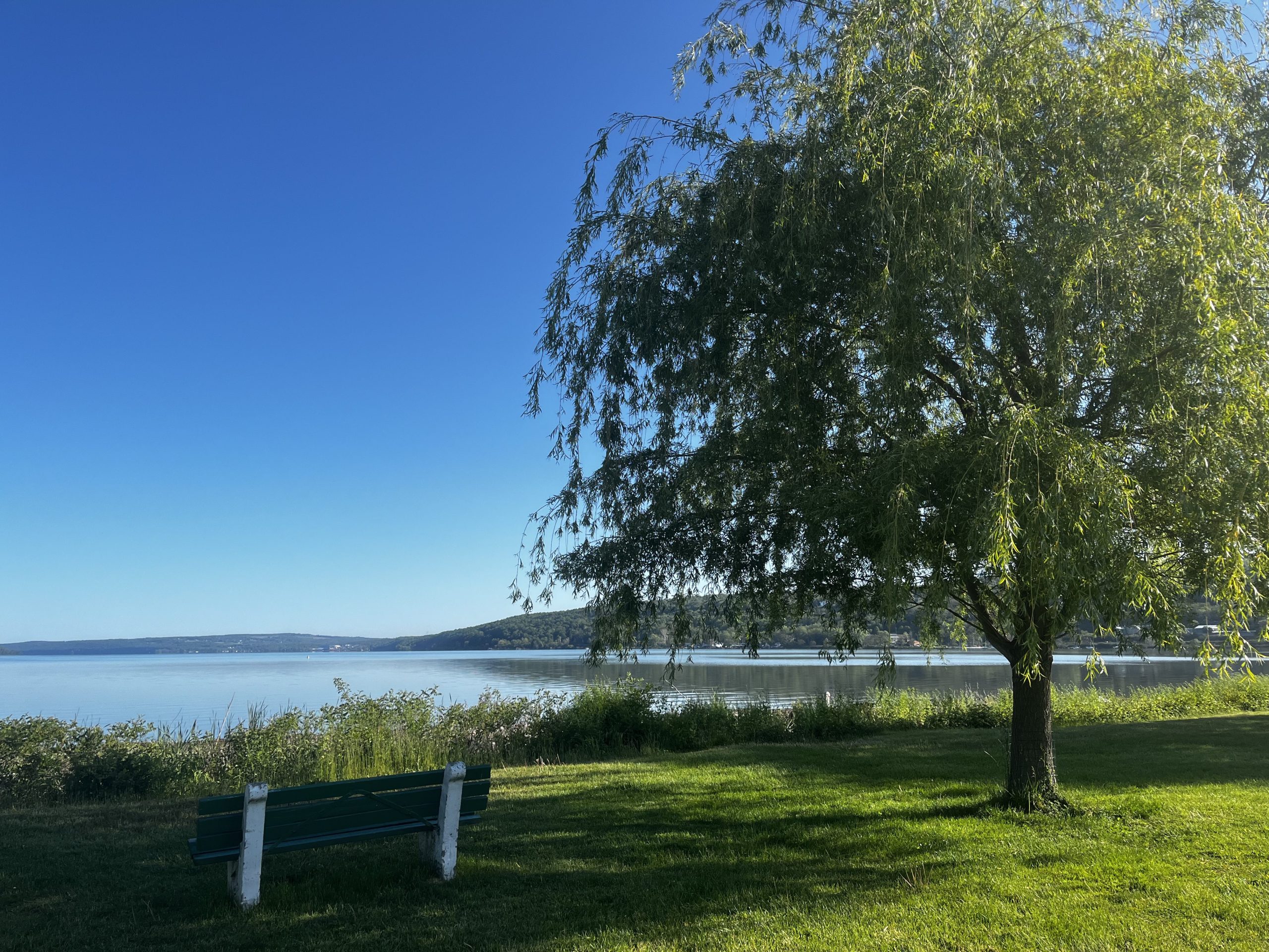 Celebrating history: Stewart Park added to the National Historic ...