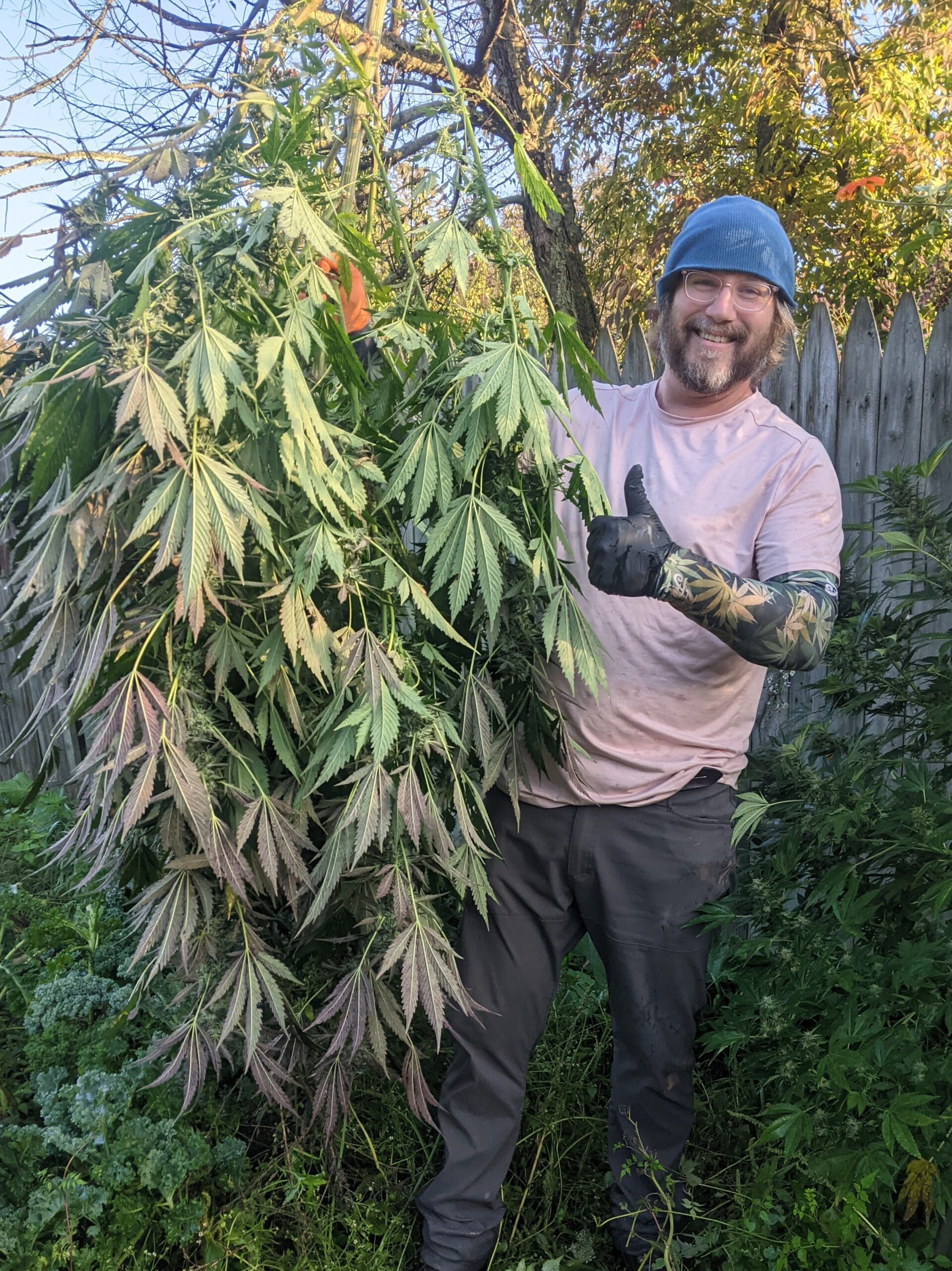 Dude, I’m So High Right Now… On the Next Economy – Tompkins Weekly