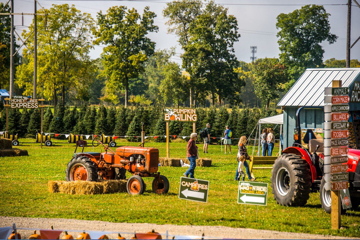 Moore Family Farm in full autumn swing – Tompkins Weekly