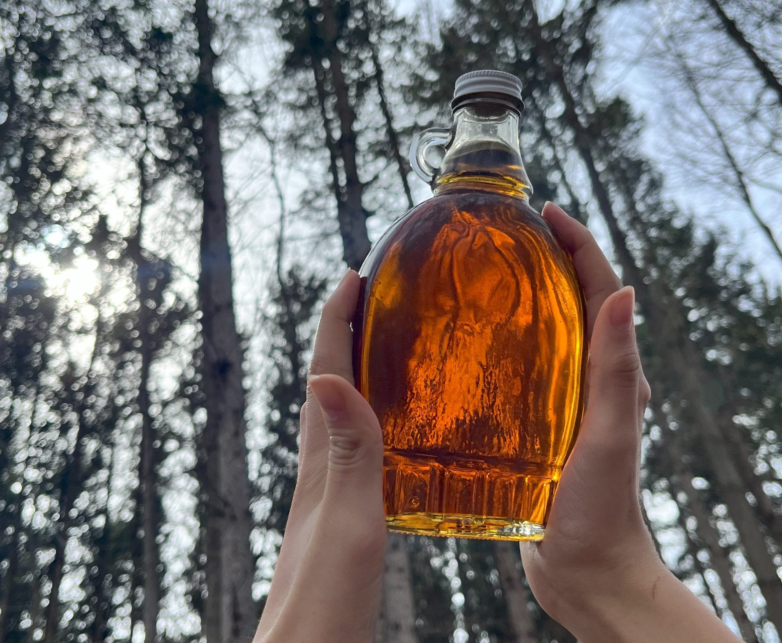 Trumansburg students lead project to tell the story of maple syrup ...