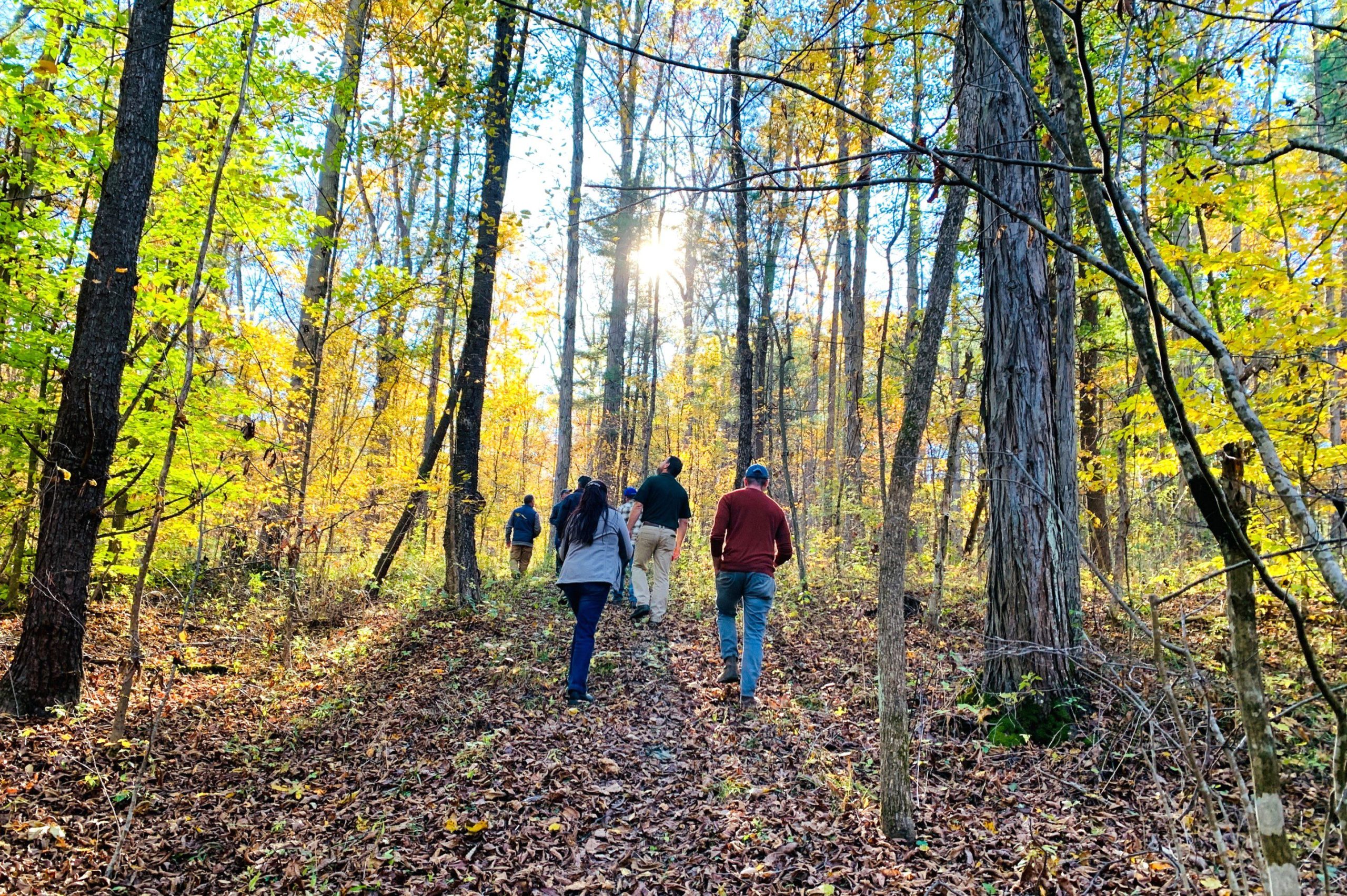 Land Trust installs new trails and parking lot at Enfield forest ...