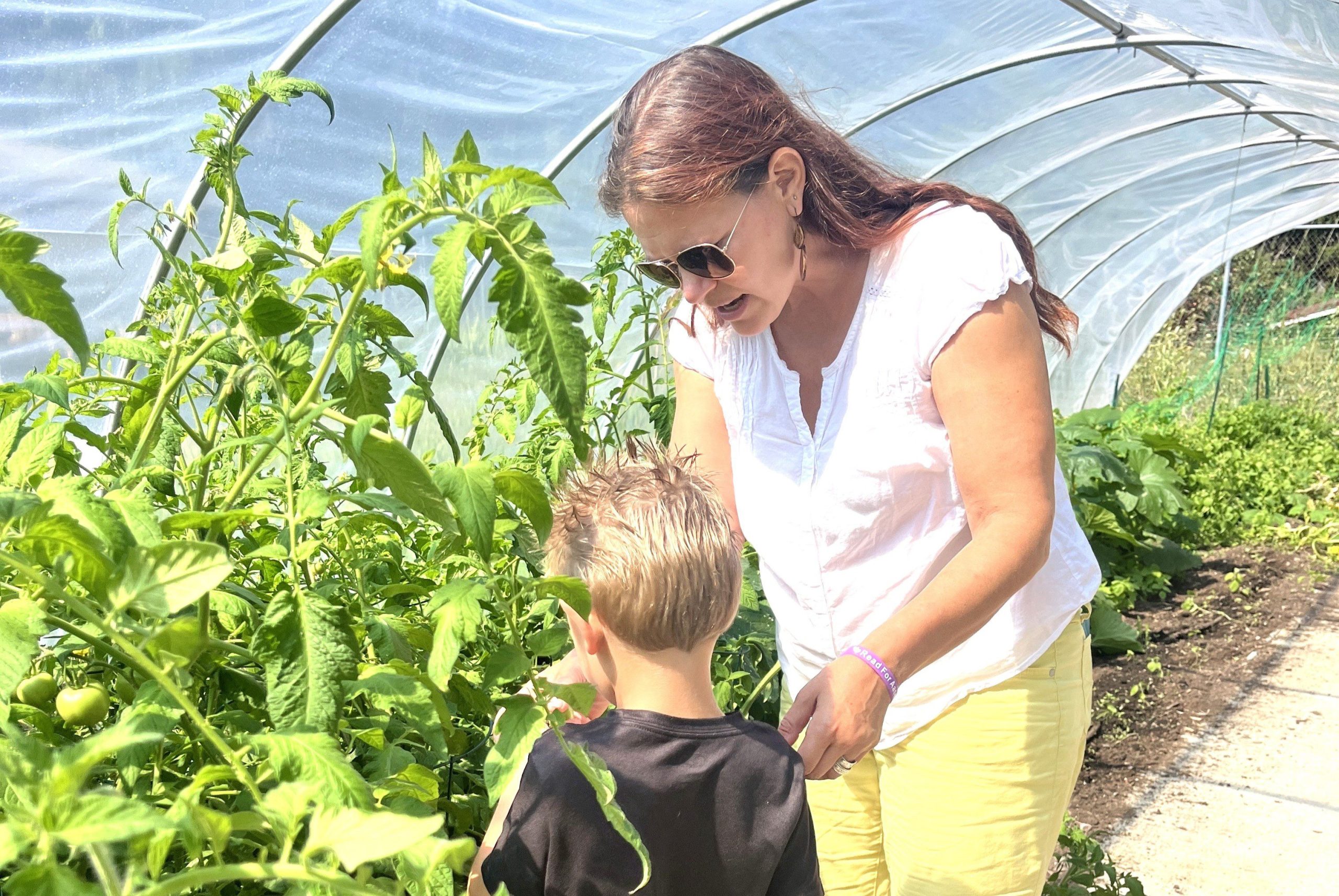 Newfield CSD’s farm-to-school program to hold inaugural fall harvest ...