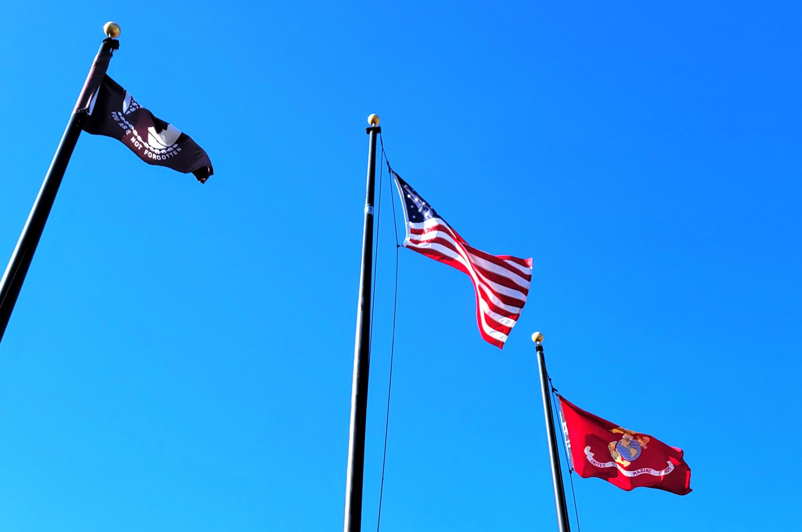 What does Veterans Day mean to you? Responses from some of Groton’s ...