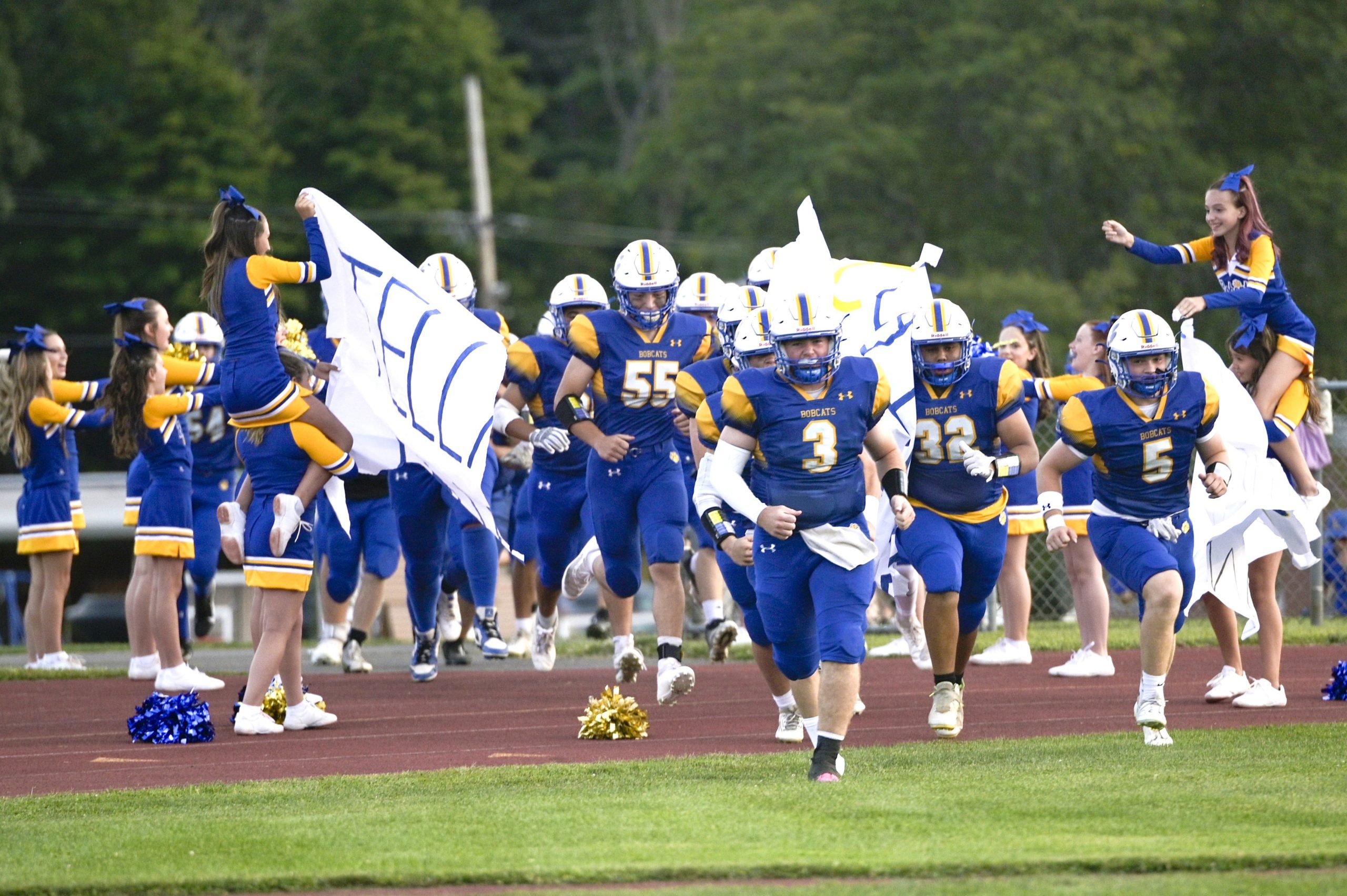 Lansing football dreams of a deep playoff run short lived – Tompkins Weekly