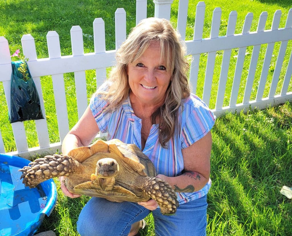 A look back on 2024 in our Tompkins County towns – Tompkins Weekly