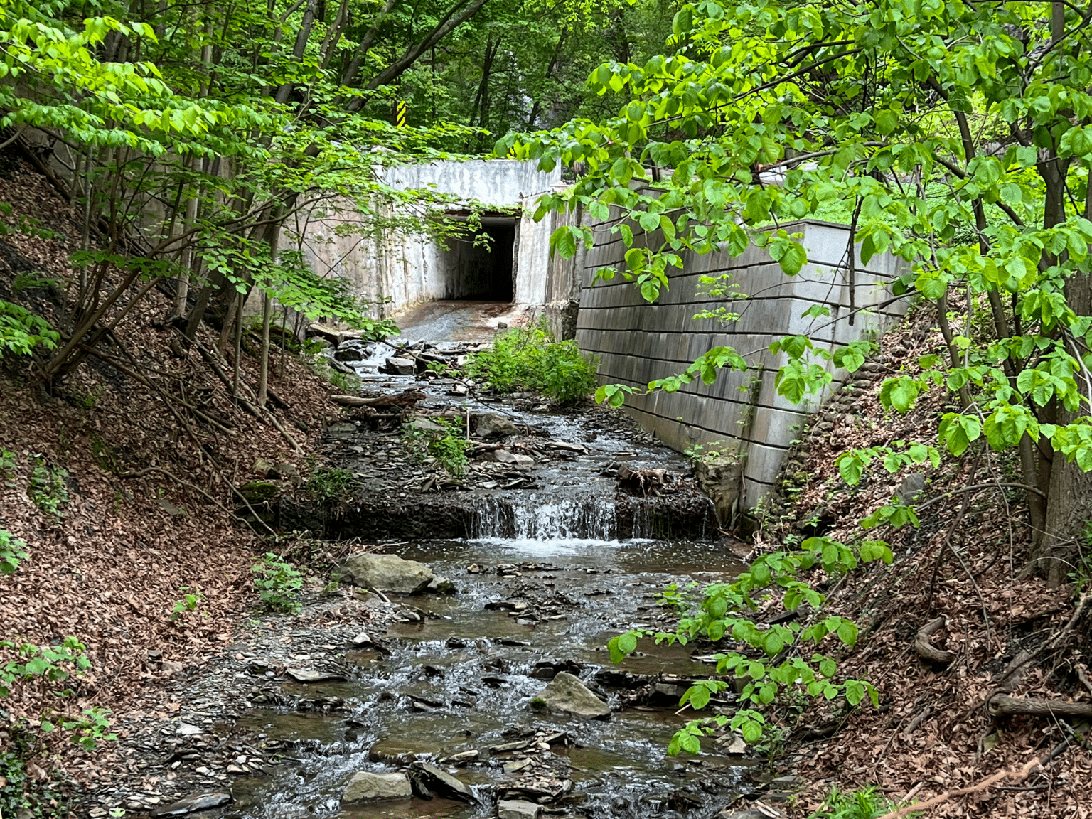 Ulysses Maplewood Culvert Project | Tompkins Weekly
