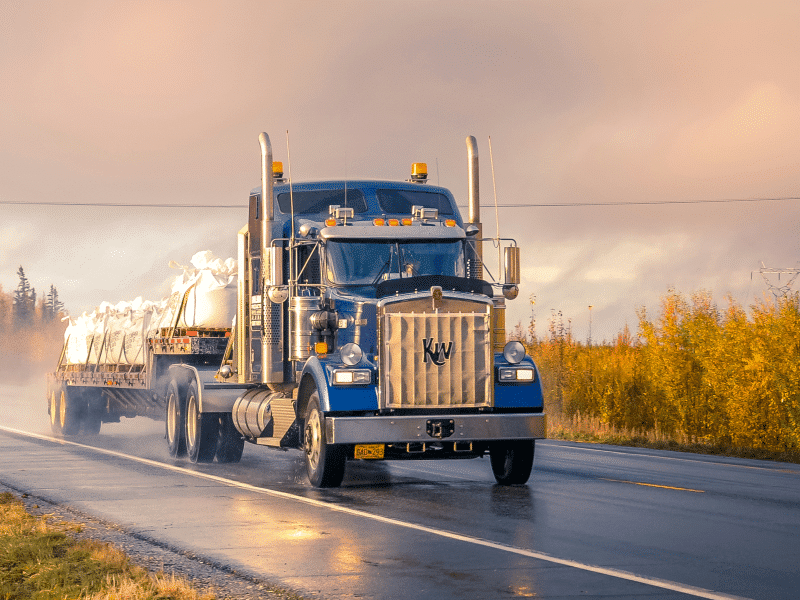 Honeybee Embassy opens at Bright Raven Farm – Tompkins Weekly